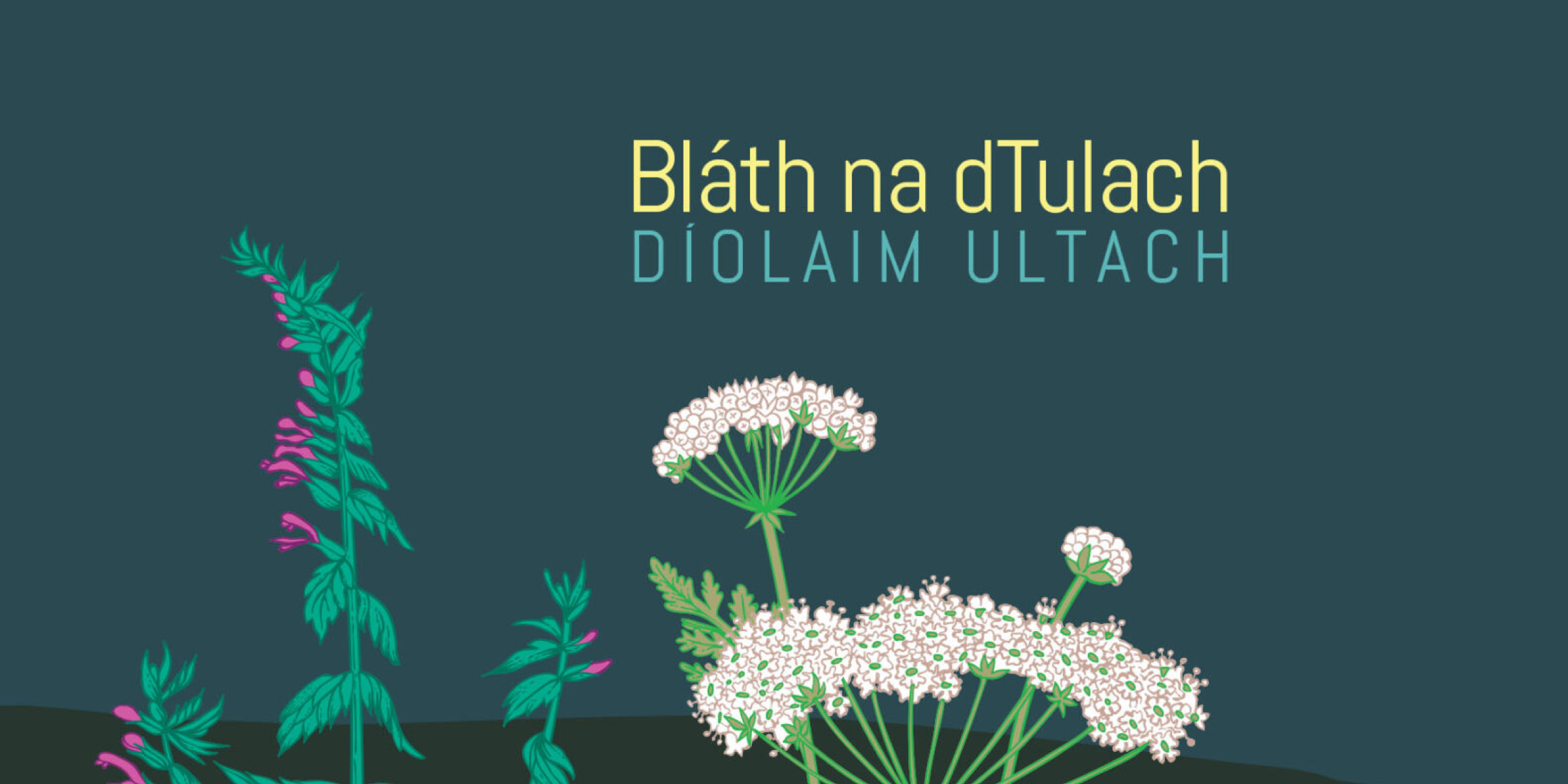 Bláth na dTulach - Díolaim Ultach