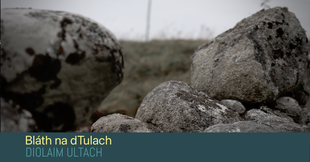 An Bhearna - Bláth na dTulach